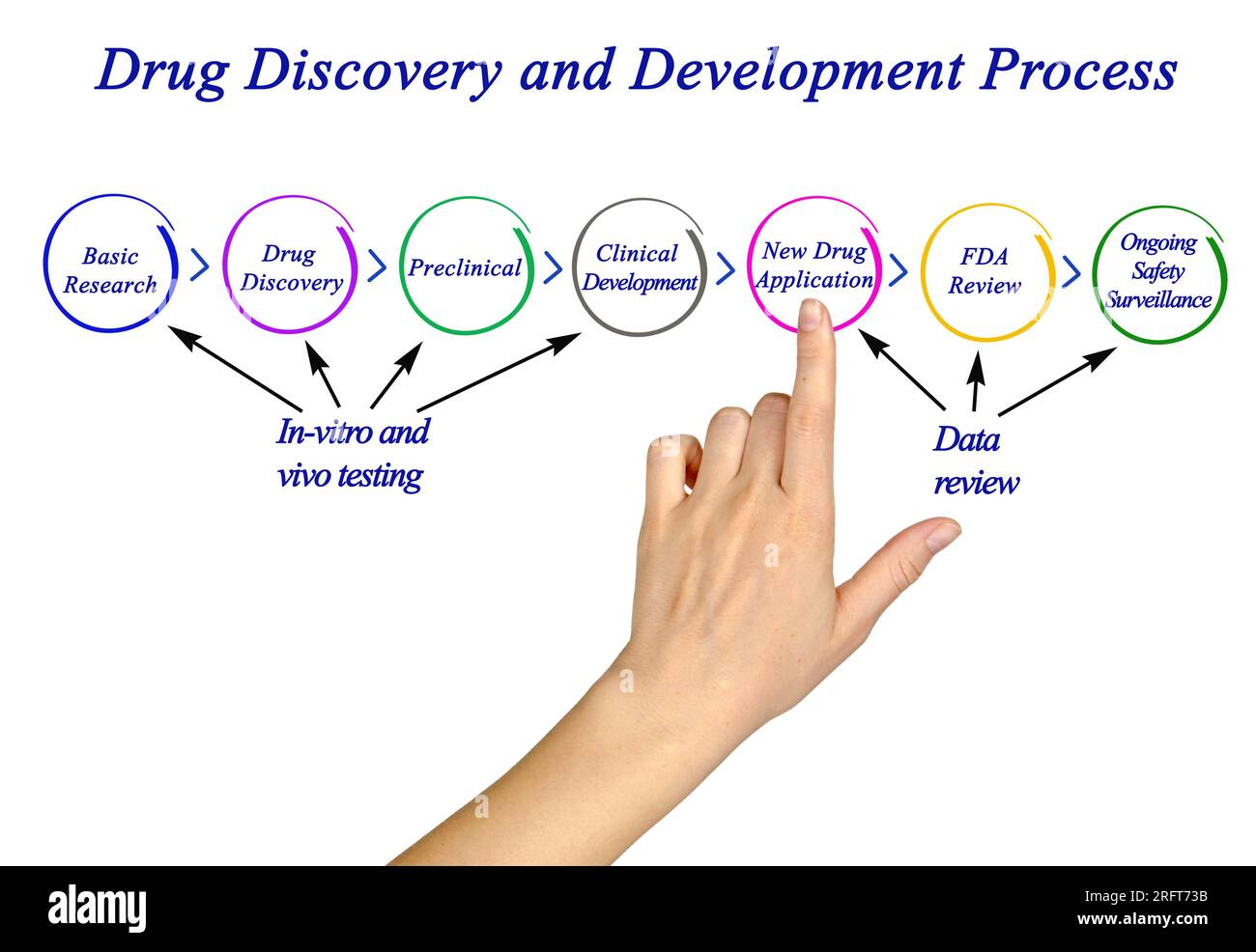 Drug Discovery Services: A guide to for Pharma Decision-Makers ...