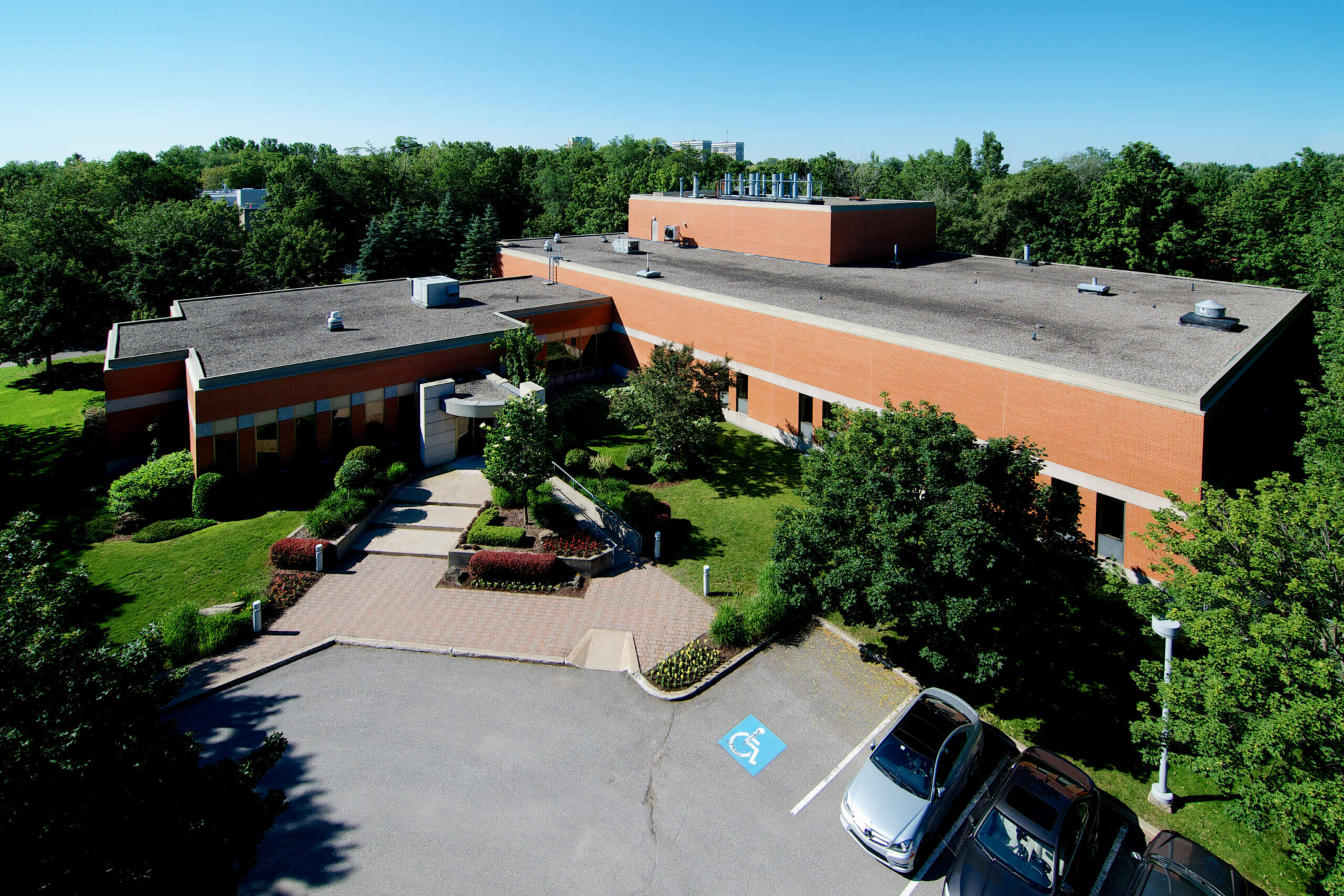 CDMO Explained: An Overview of Contract Development and Manufacturing ...