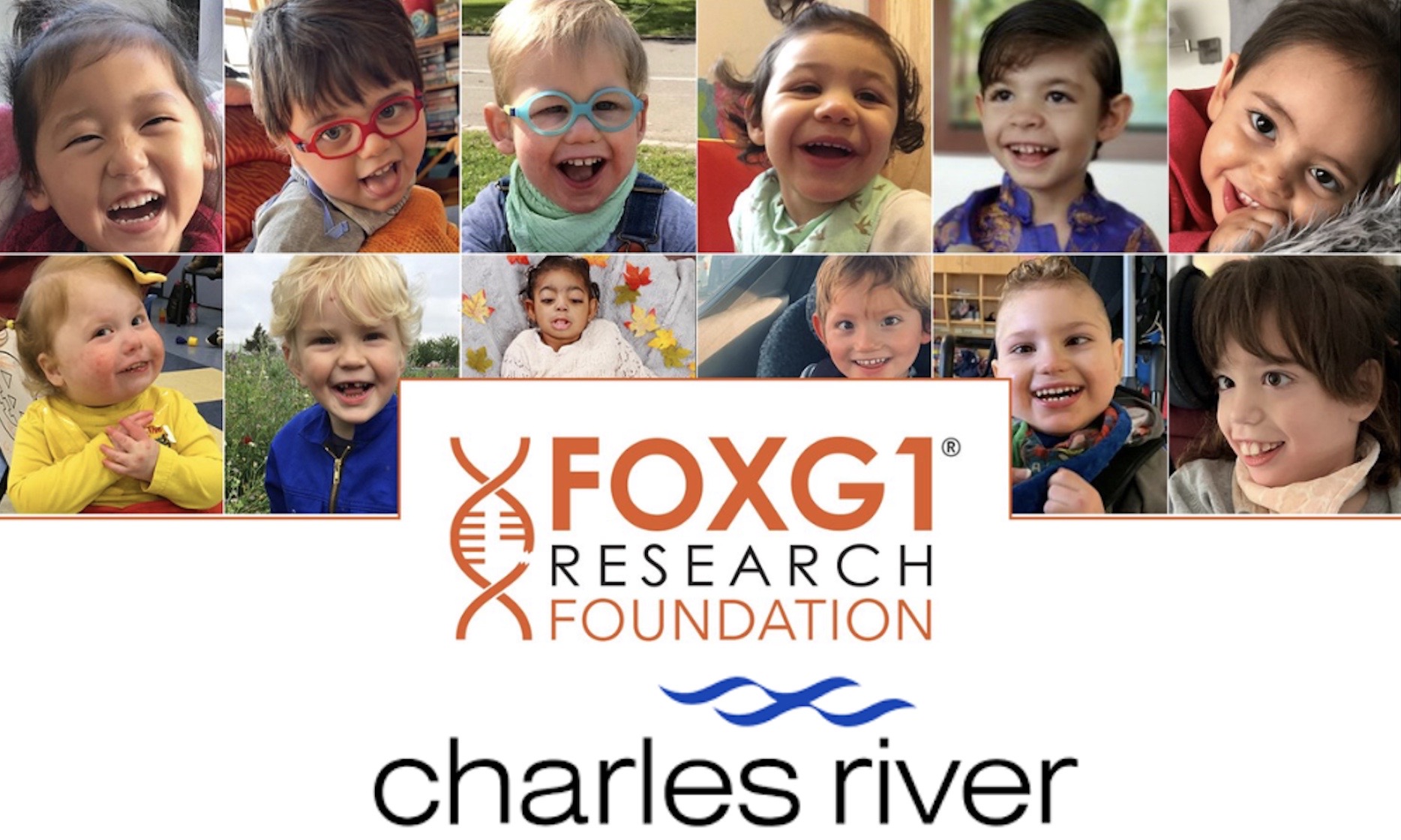Charles River Partners with FOXG1 Research Foundation for Gene Therapy ...