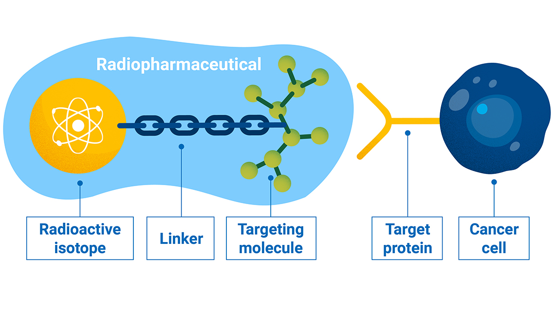Radiopharmaceutical CDMO Market Explained - PharmaSource