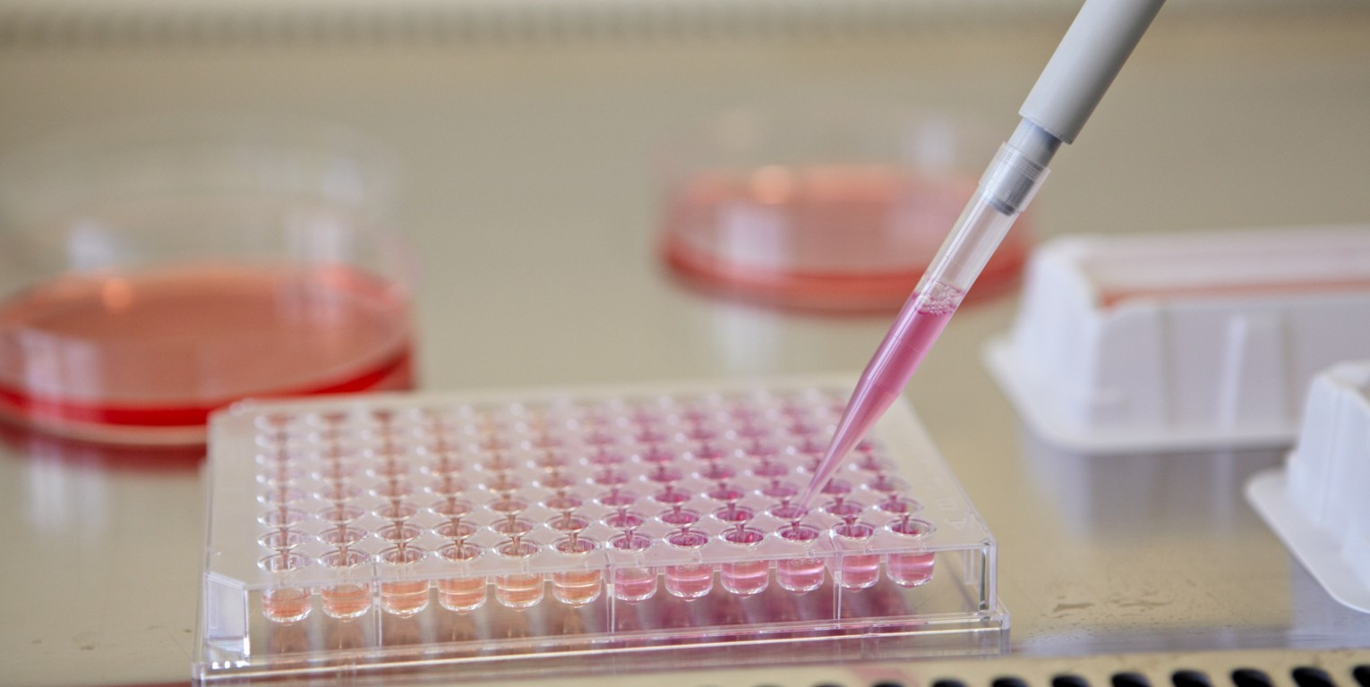 Swarm Oncology Partners with Cellex to Advance T Cell Therapy for Solid ...