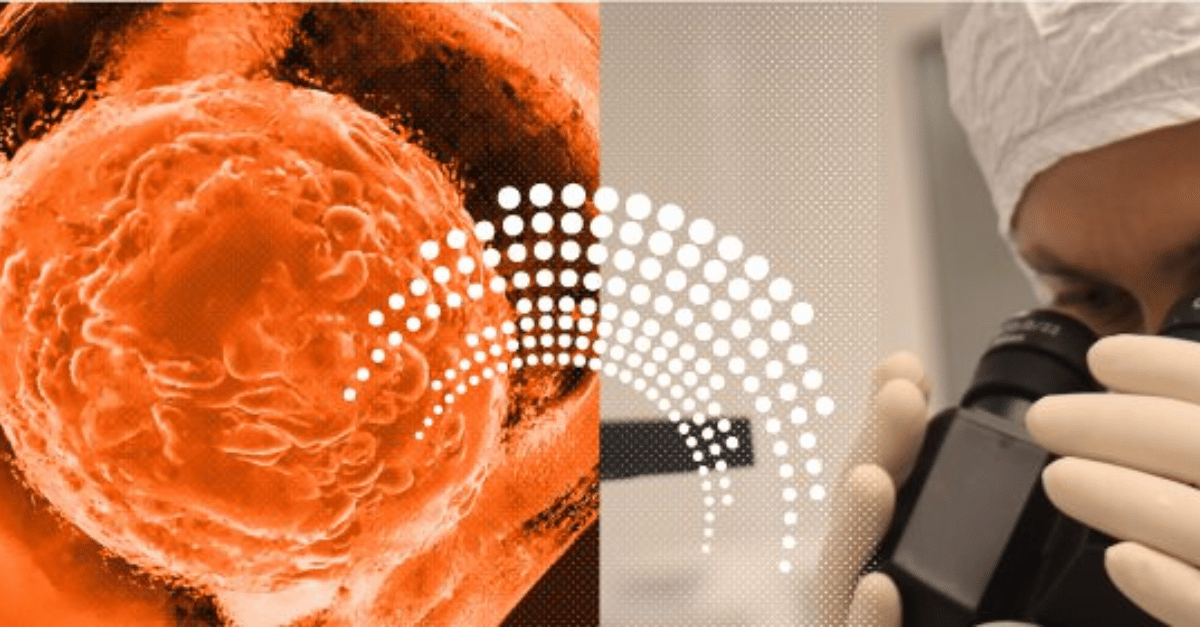 Pluri Inc. Strengthens Cell Therapy Platform with CNIPA Grant for 3D ...